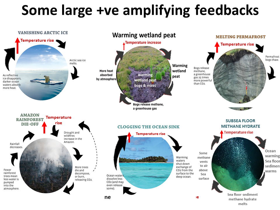 Climate Feedbacks